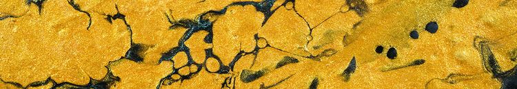 Calbaq S.a. en Guayaquil - Teléfono y Dirección | Páginas Amarillas